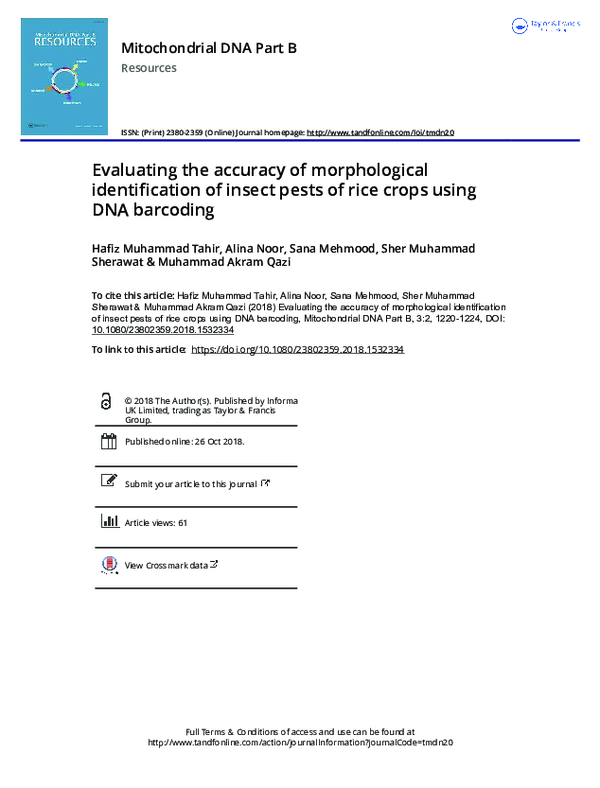 Pdf Evaluating The Accuracy Of Morphological Identification Of Insect