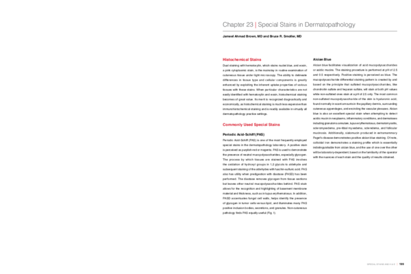 (PDF) Special Stains in Dermatopathology