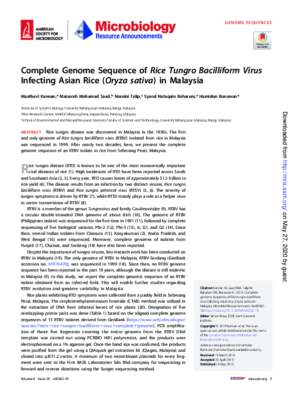 (PDF) Complete Genome Sequence of Rice Tungro Bacilliform Virus ...