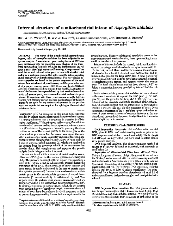 (PDF) Internal structure of a mitochondrial intron of Aspergillus nidulans