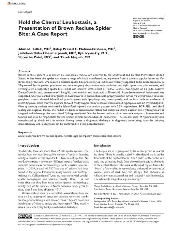 (PDF) Hold the Chemo! Leukostasis, a Presentation of Brown Recluse ...