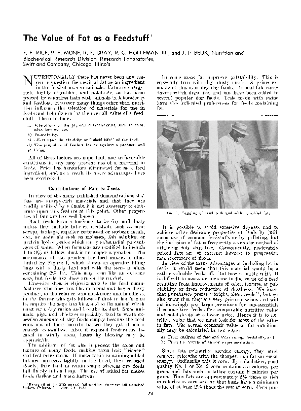 (PDF) The value of fat as a feedstuff