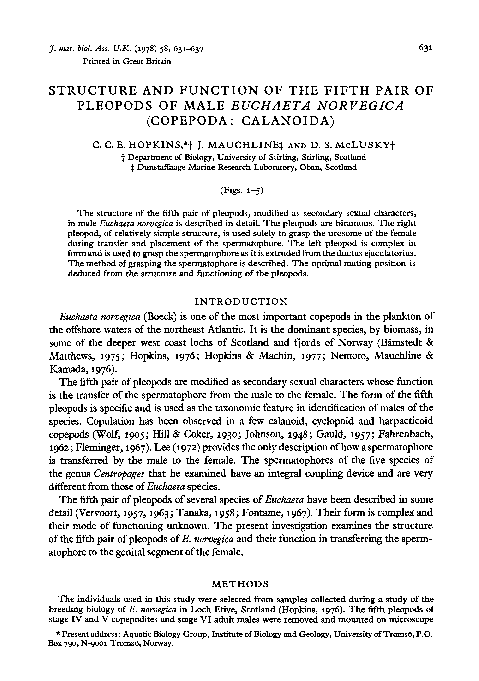 (PDF) Structure and function of the fifth pair of pleopods of male ...