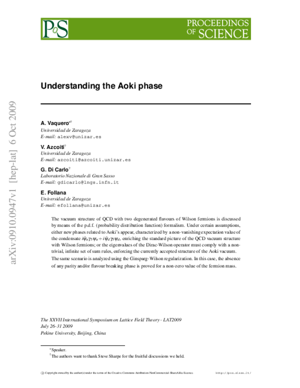 (PDF) Understanding the Aoki phase