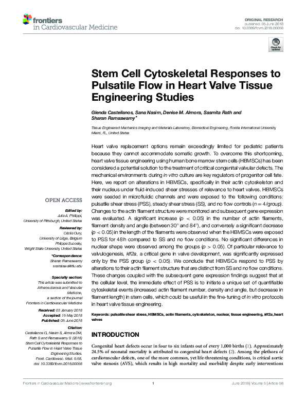 (PDF) Stem Cell Cytoskeletal Responses to Pulsatile Flow in Heart Valve Tissue Engineering Studies