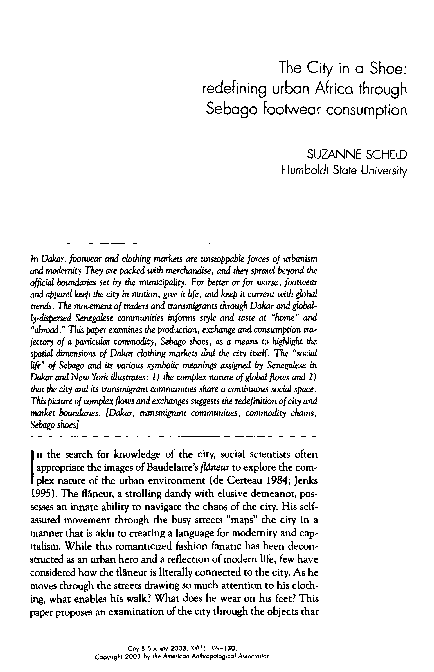 (PDF) The City in a Shoe: redefining urban Africa through Sebago ...