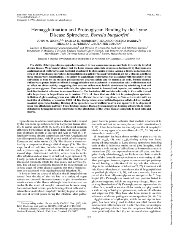 (PDF) These include