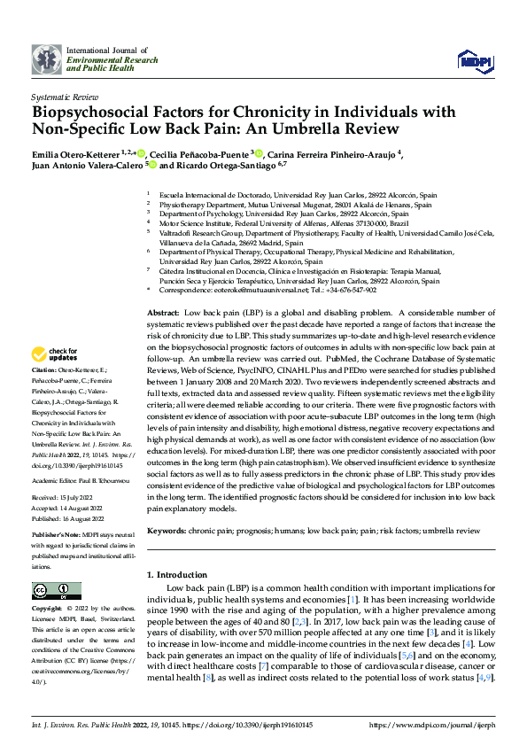 (PDF) Biopsychosocial Factors for Chronicity in Individuals with Non ...