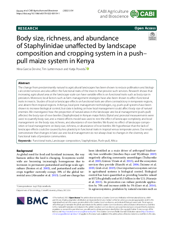 (PDF) Body size, richness, and abundance of Staphylinidae unaffected by ...