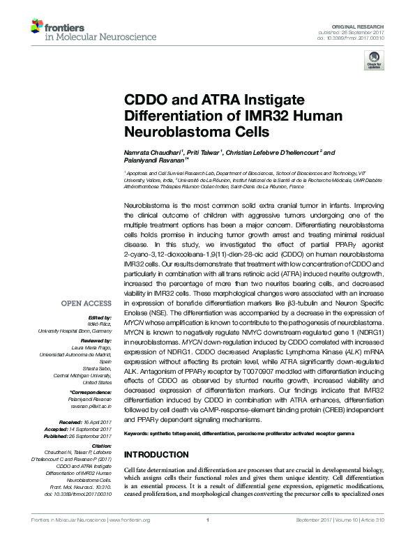 (PDF) CDDO and ATRA Instigate Differentiation of IMR32 Human ...