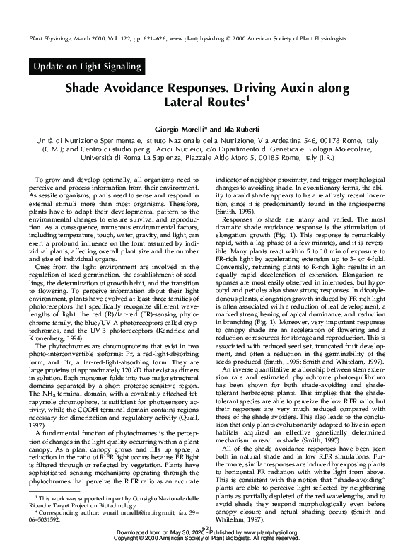 (PDF) Shade Avoidance Responses. Driving Auxin along Lateral Routes
