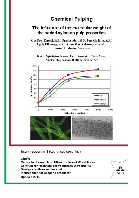 (PDF) Chemical pulping: The influence of the molecular weight of added ...
