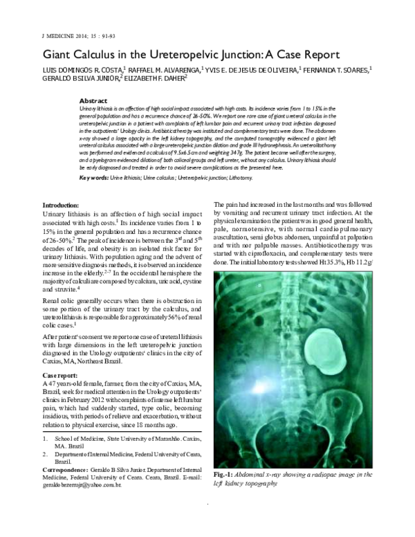 (PDF) Giant Calculus in the Ureteropelvic Junction: A Case Report