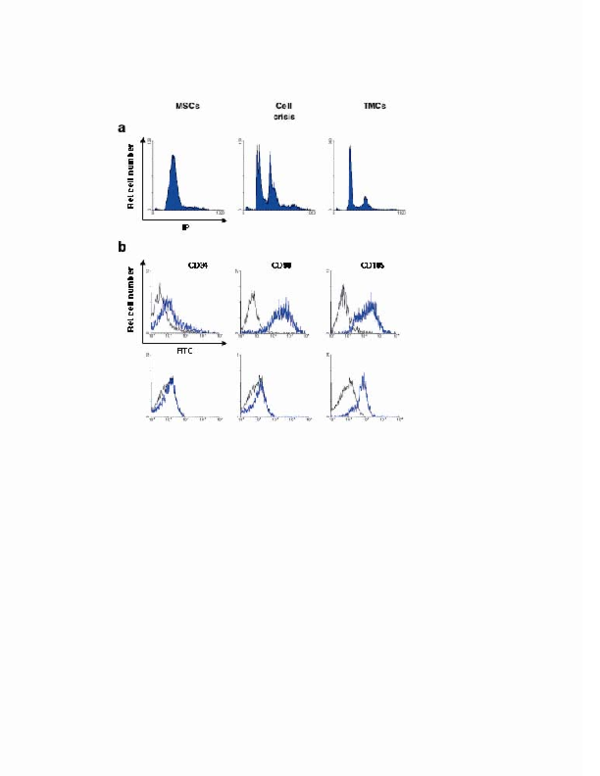 (PDF) Spontaneous Human Adult Stem Cell Transformation