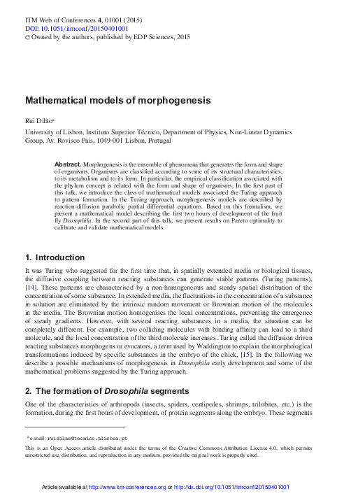 (PDF) Mathematical models of morphogenesis | Rui Dilao - Academia.edu