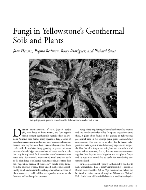 (PDF) Fungi in Yellowstone's Geothermal Soils and Plants