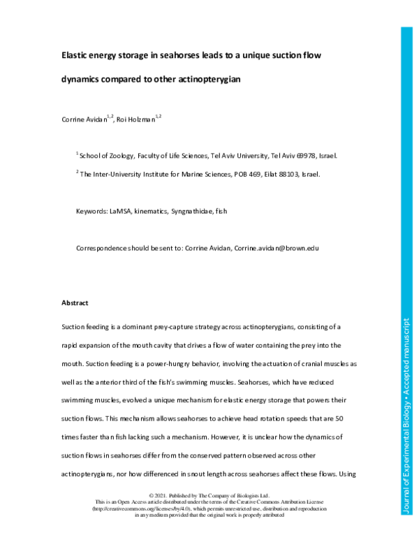 (PDF) Elastic energy storage in seahorses leads to a unique suction ...