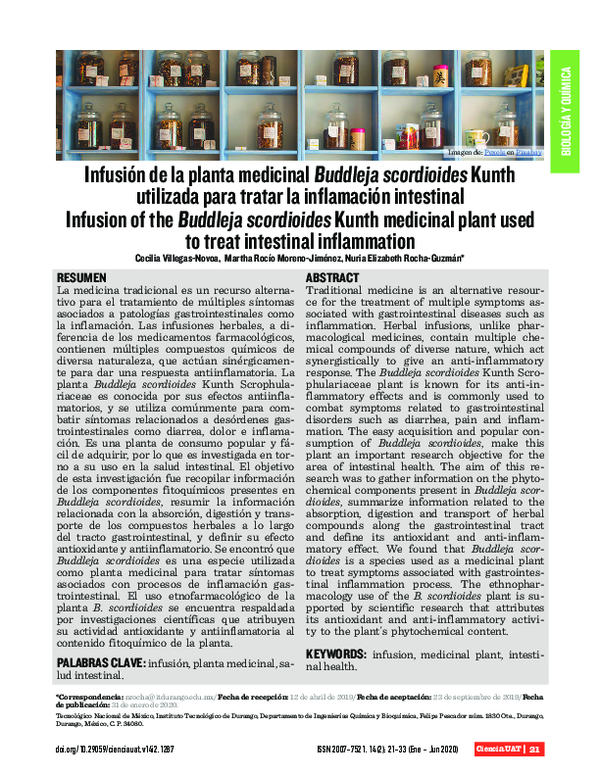 (PDF) Infusión de la planta medicinal Buddleja scordioides Kunth ...