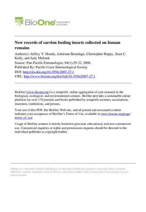 (PDF) New records of carrion feeding insects collected on human remains