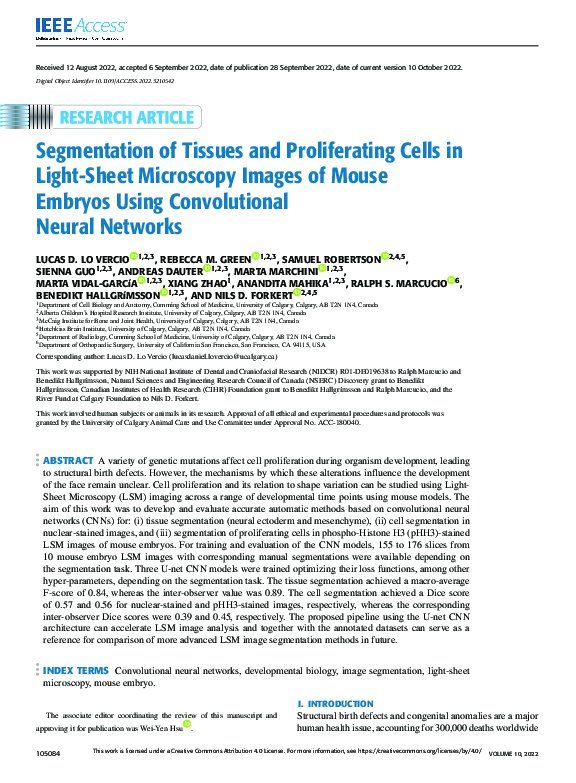 Segmentation of Tissues and Proliferating Cells in Light-Sheet Microscopy Images of Mouse ...