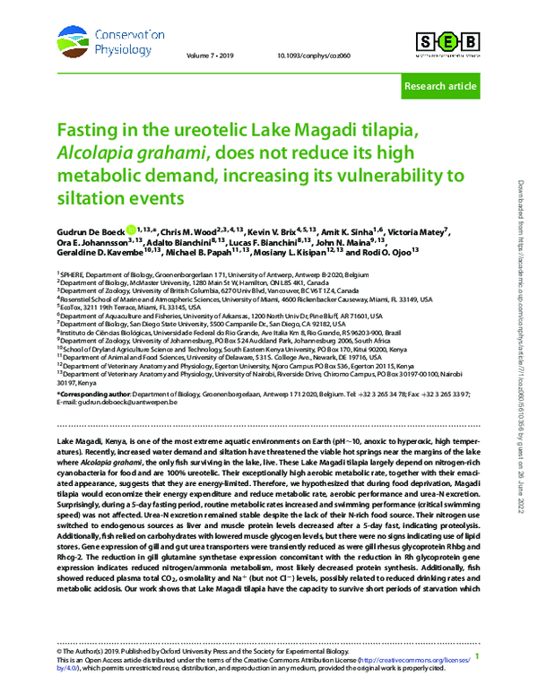 (PDF) Fasting in the ureotelic Lake Magadi tilapia, Alcolapia grahami ...