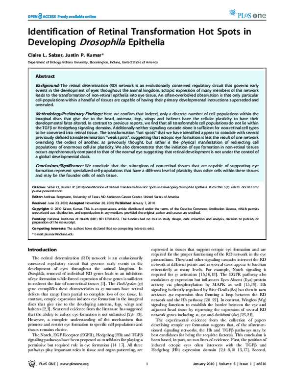 (PDF) Identification of Retinal Transformation Hot Spots in Developing ...