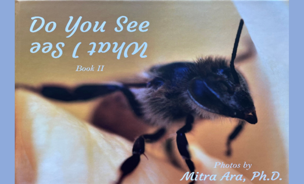 (PDF) Do You See What I see - Book II