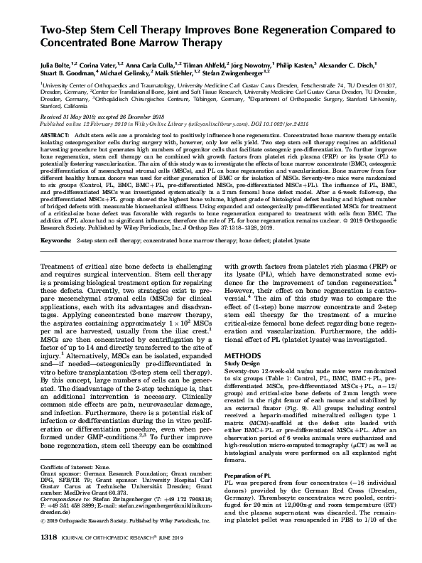 (PDF) Two‐step stem cell therapy improves bone regeneration compared to ...