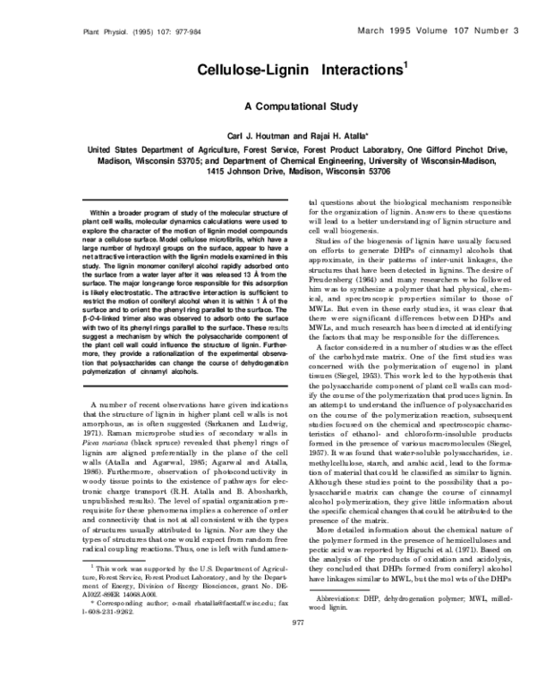 (PDF) A Computational Study | Rajai Atalla - Academia.edu