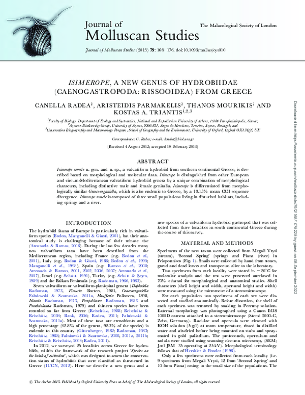 (PDF) Isimerope, a new genus of Hydrobiidae (Caenogastropoda: Rissooidea) from Greece ...