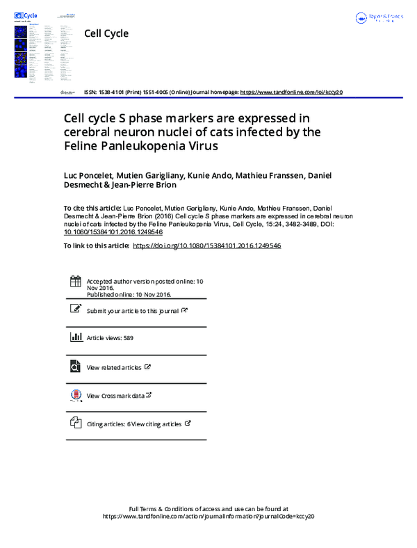 (PDF) Cell cycle S phase markers are expressed in cerebral neuron ...
