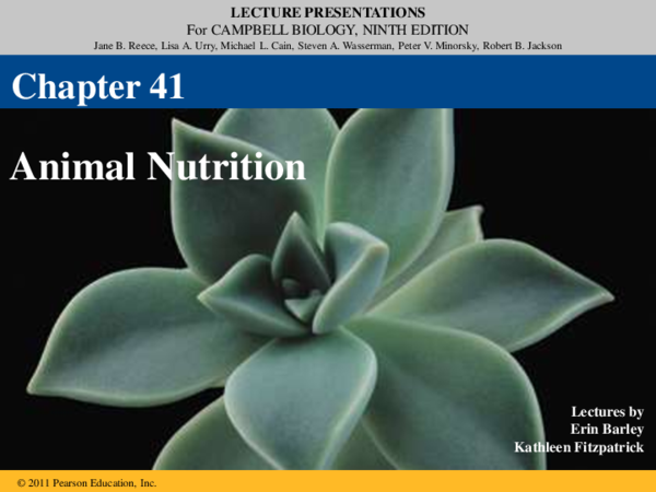 (PDF) LECTURE PRESENTATIONS For CAMPBELL BIOLOGY, NINTH EDITION