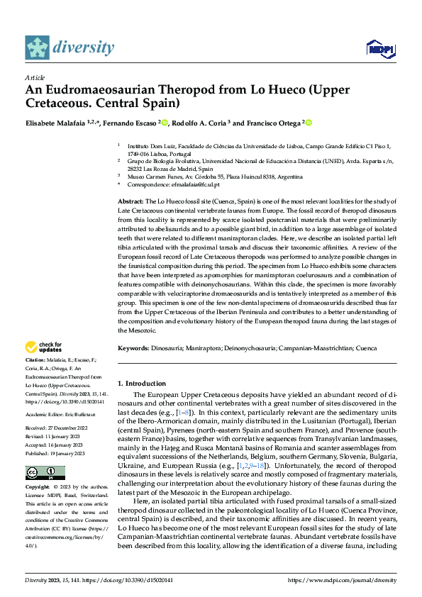 (PDF) An Eudromaeosaurian Theropod from Lo Hueco (Upper Cretaceous ...
