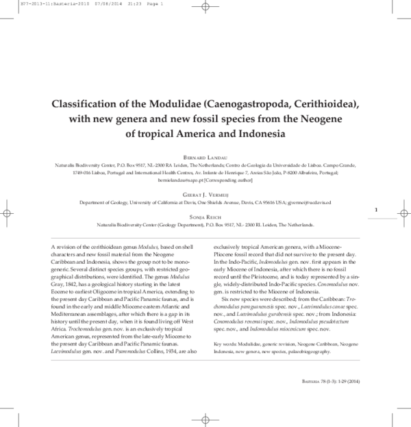 (PDF) Classification of the Modulidae (Caenogastropoda, Cerithioidea ...