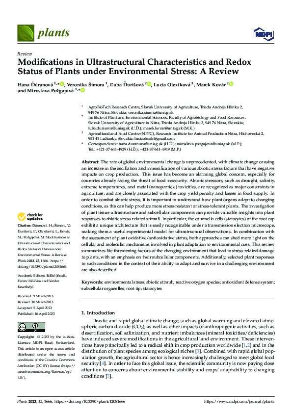 (PDF) Modifications in Ultrastructural Characteristics and Redox Status ...