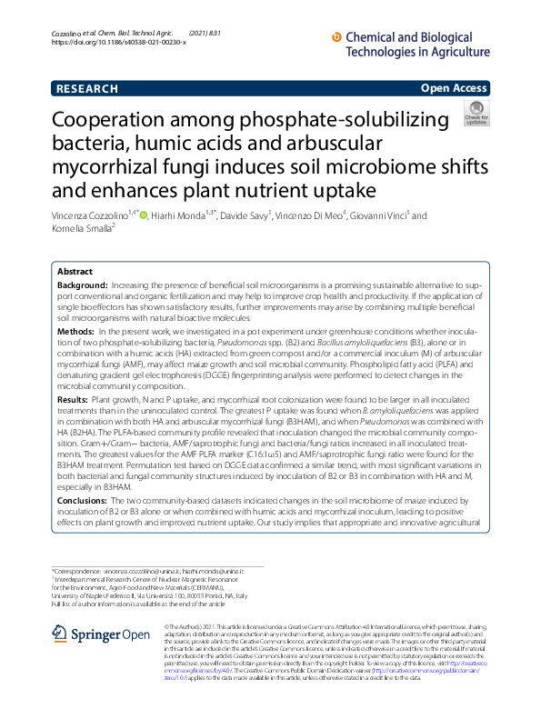 (PDF) Cooperation among phosphate-solubilizing bacteria, humic acids and arbuscular mycorrhizal ...
