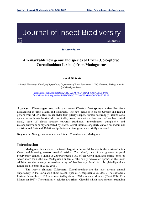 (PDF) A remarkable new genus and species of Lixini (Coleoptera ...