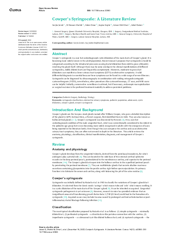 (PDF) Cowper’s Syringocele: A Literature Review