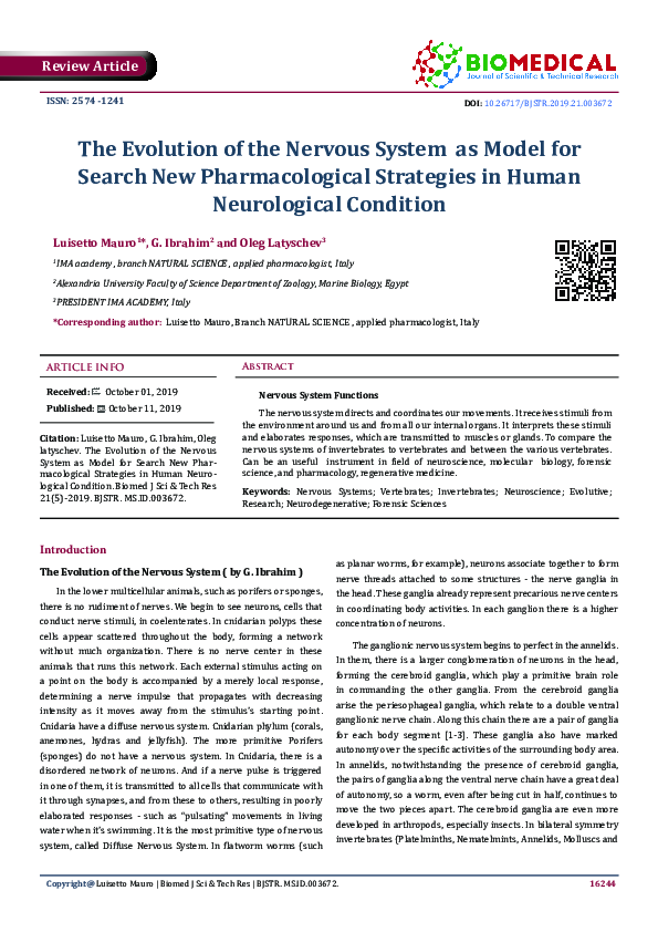 (PDF) The Evolution of the Nervous System as Model for Search New ...