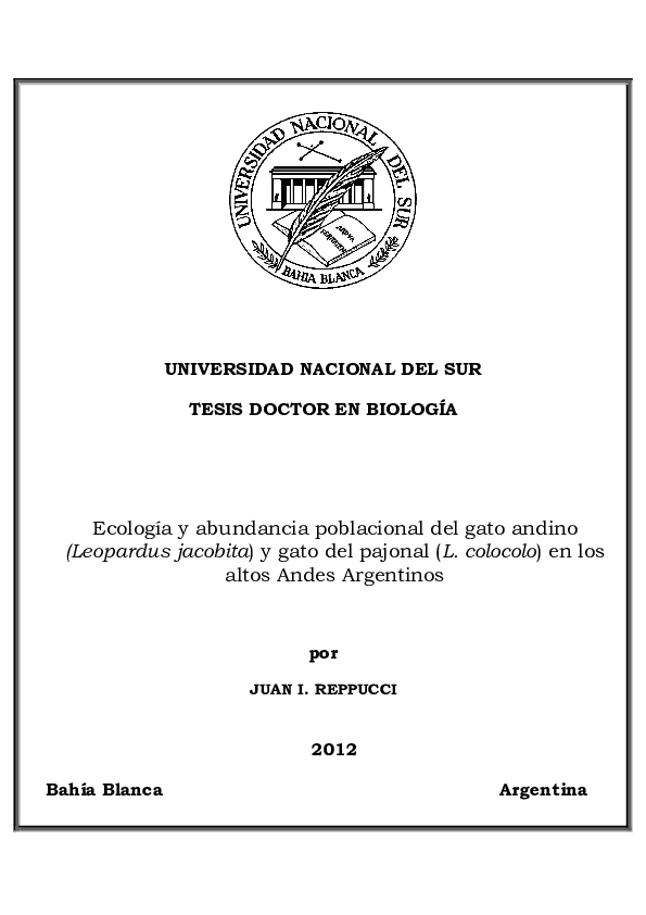 (PDF) Ecología y abundancia poblacional del gato andino (Leopardus ...