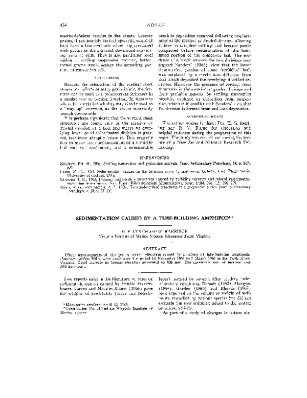 (PDF) Sedimentation caused by a tube-building amphipod