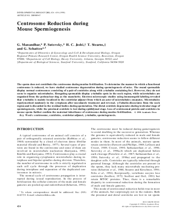 (PDF) Centrosome Reduction during Mouse Spermiogenesis