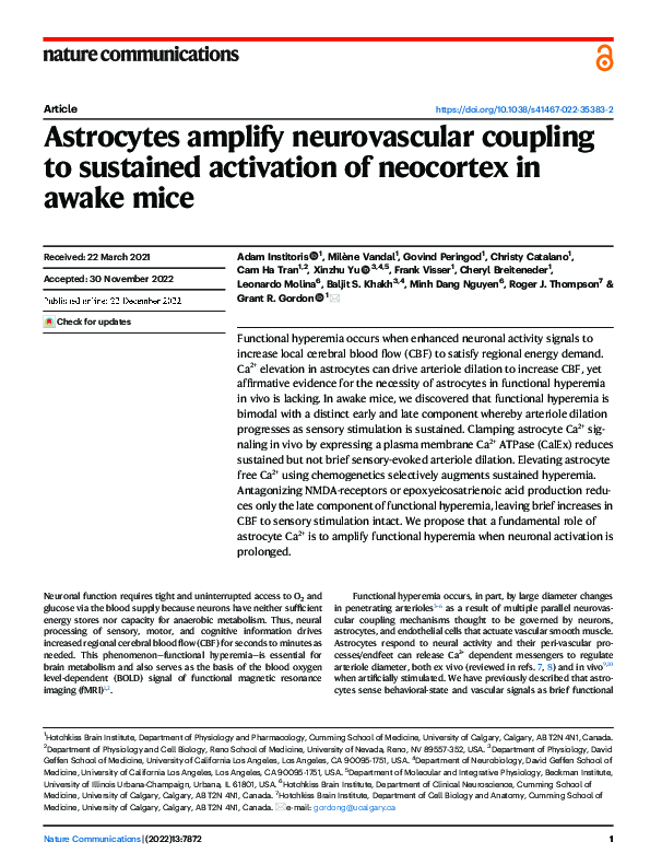 (PDF) Astrocytes amplify neurovascular coupling to sustained activation ...