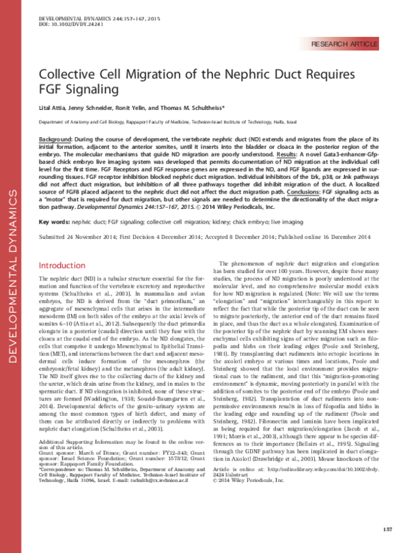 (PDF) Collective cell migration of the nephric duct requires FGF signaling
