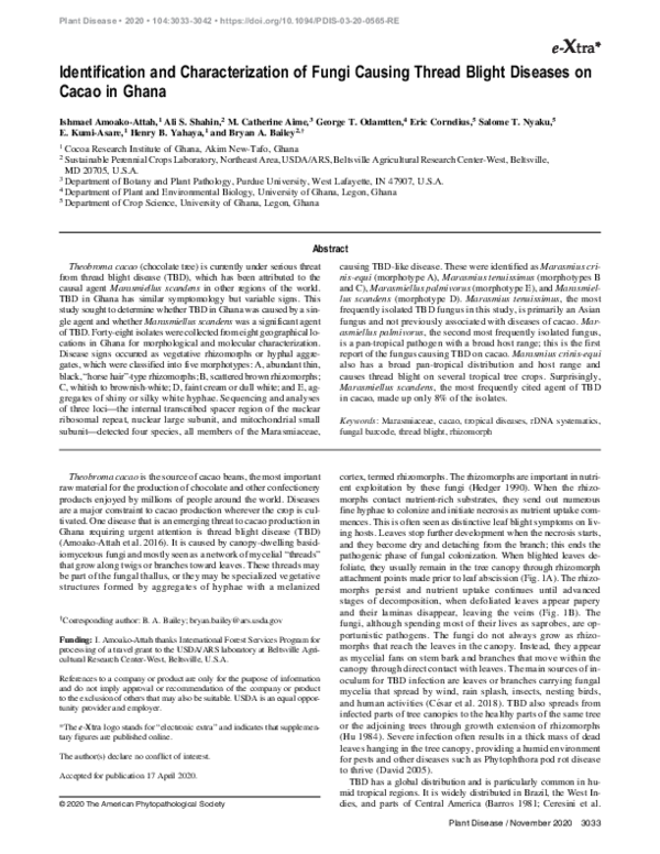 (PDF) Identification and Characterization of Fungi Causing Thread ...