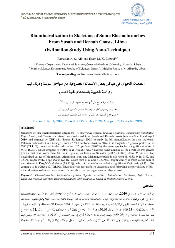 (PDF) Bio-mineralization in Elasmobranch Skeletons