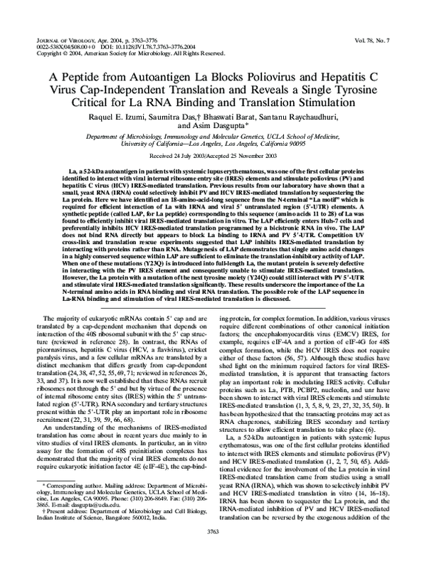 (PDF) A Peptide from Autoantigen La Blocks Poliovirus and Hepatitis C ...