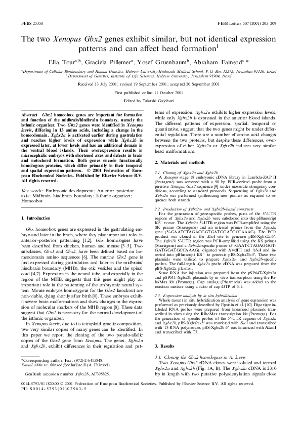 (PDF) The two Xenopus Gbx2 genes exhibit similar, but not identical ...