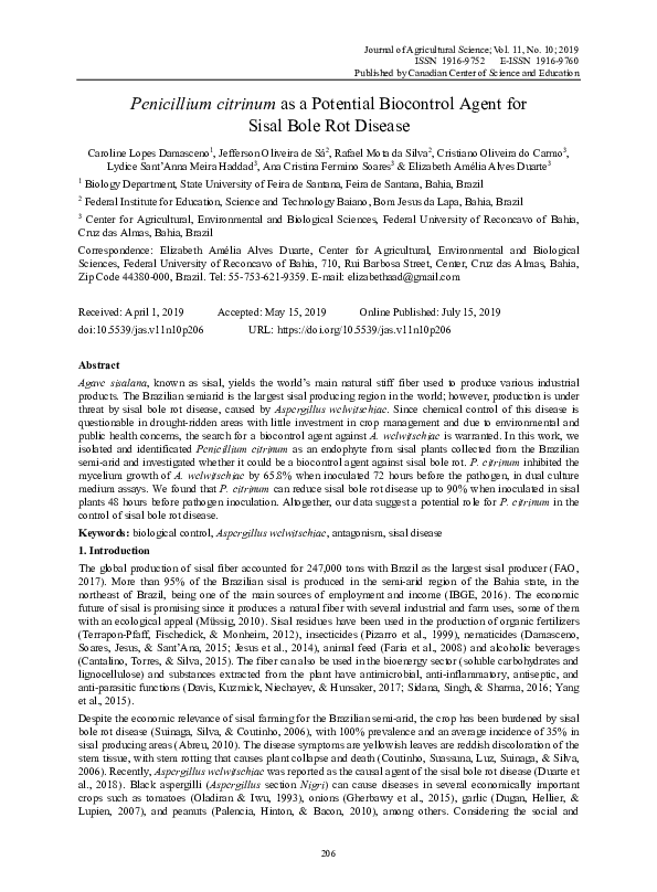 (PDF) Penicillium citrinum as a Potential Biocontrol Agent for Sisal ...