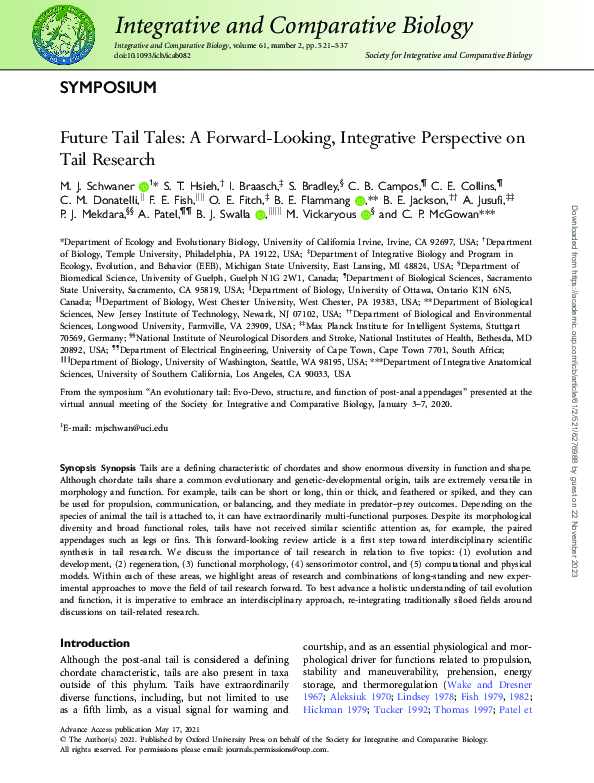 (PDF) Future Tail Tales: A Forward-Looking, Integrative Perspective on ...
